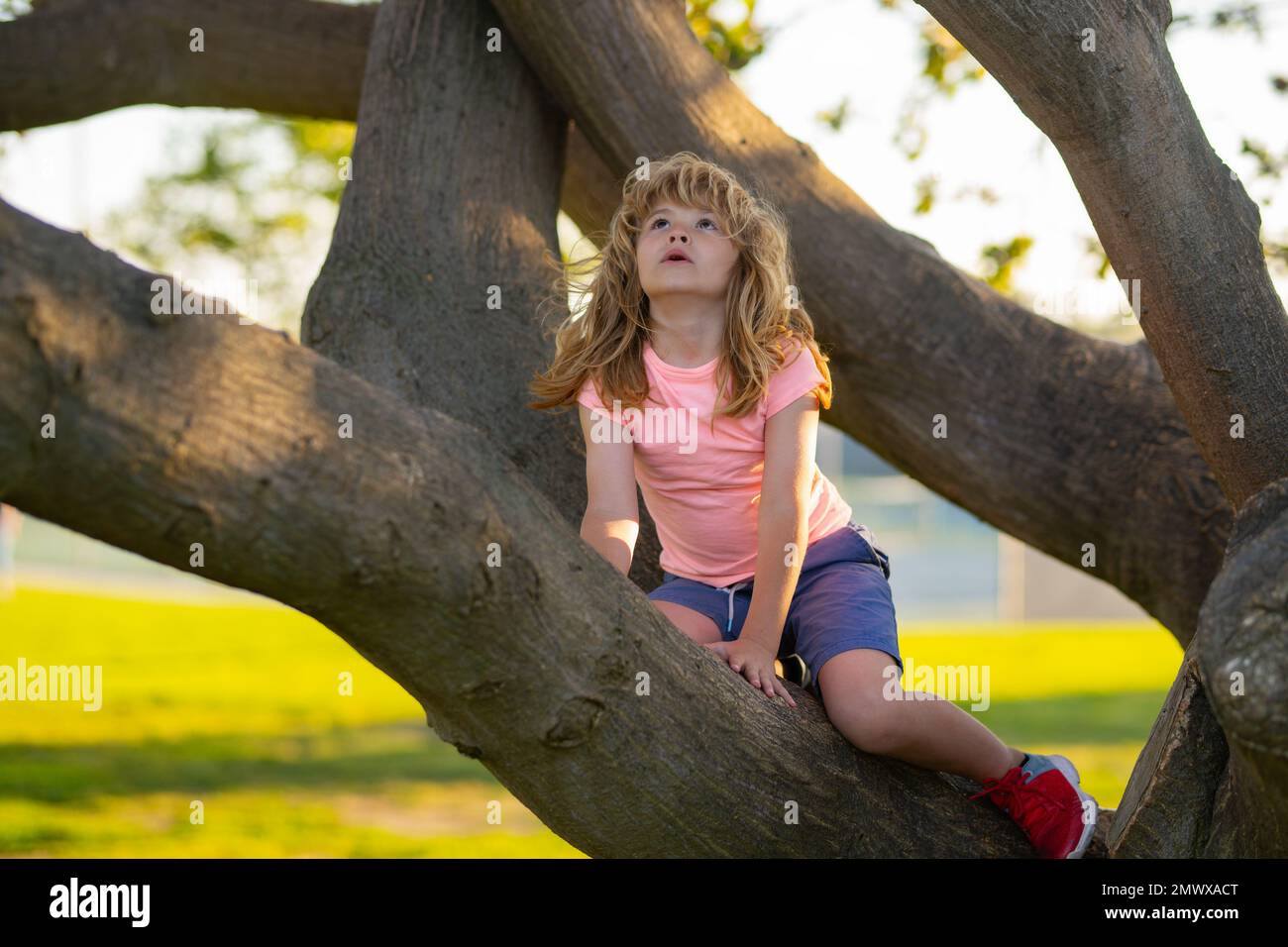 Child on a tree. Insurance kids. Health care insurance concept for kids ...