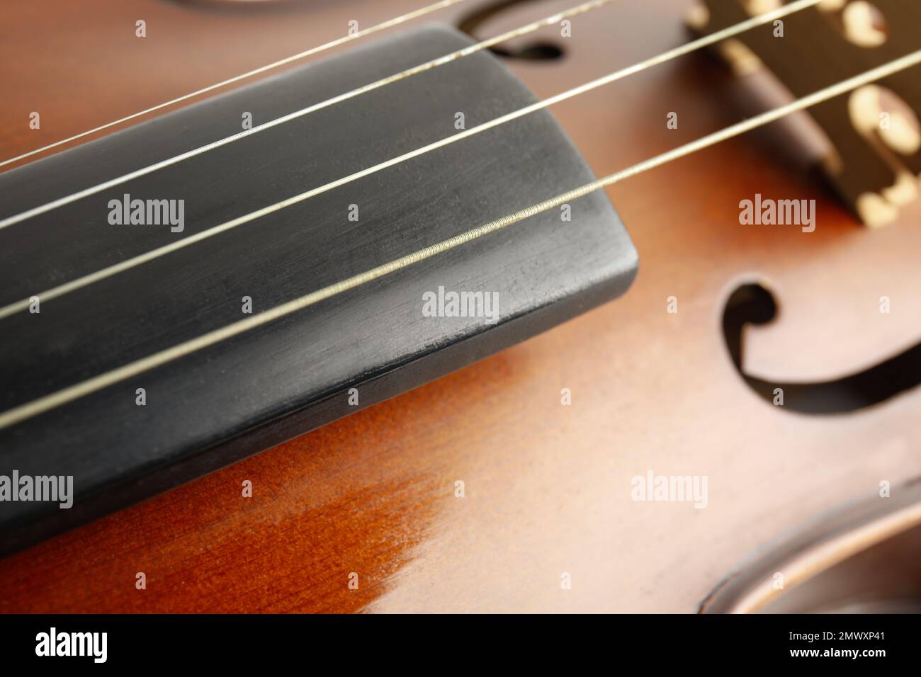 Beautiful classic violin hi-res stock photography and images - Alamy