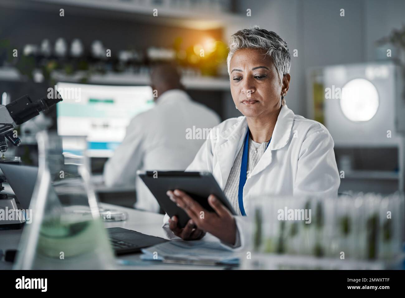 Senior scientist woman, tablet and lab research at desk with data ...