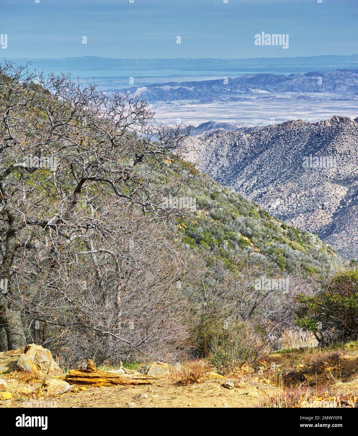 Californian desert - Anza-Borrego. Anza-Borrego Desert State Park ...