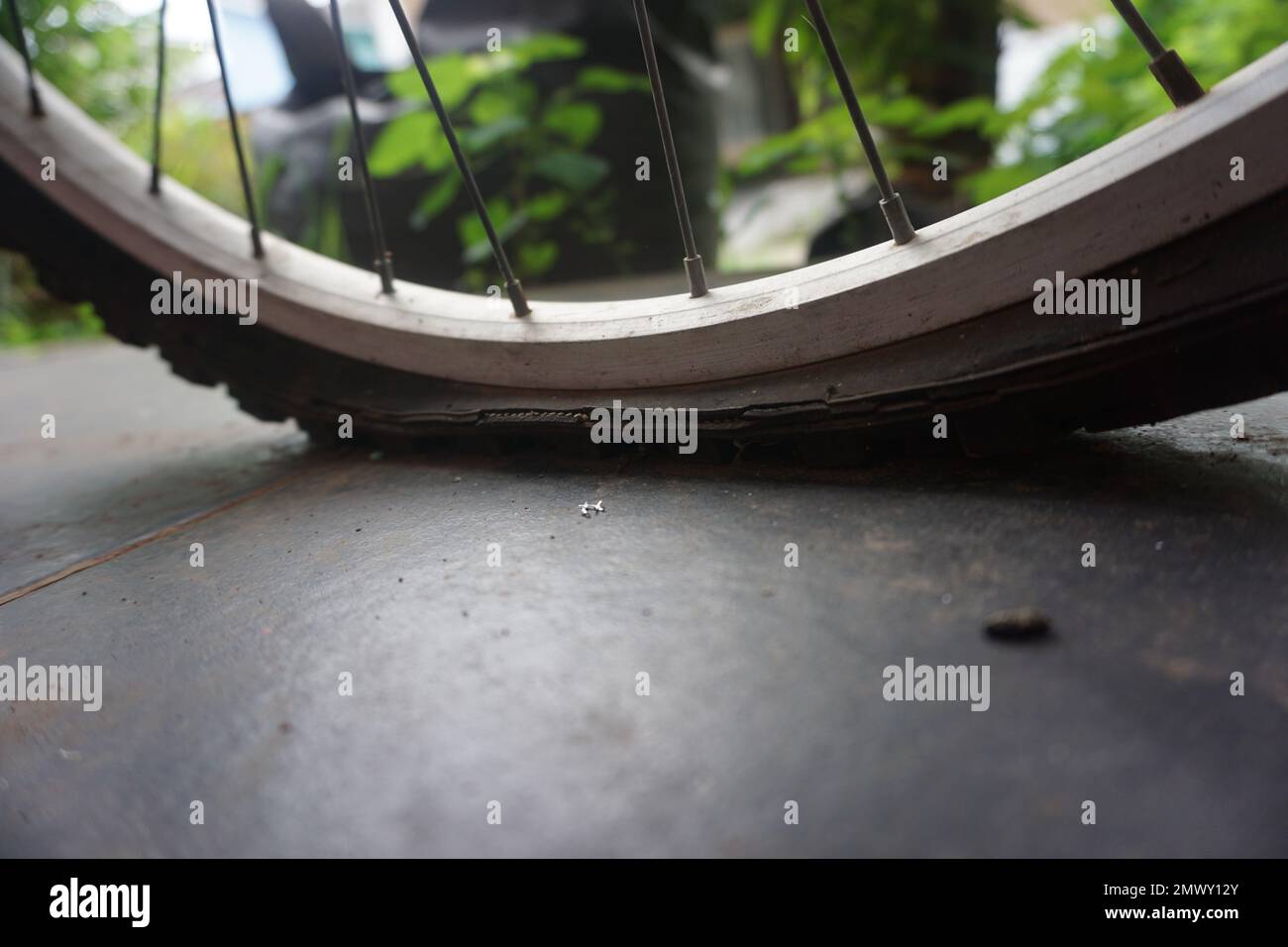 flat bicycle tire in front of the house in the morning Stock Photo - Alamy