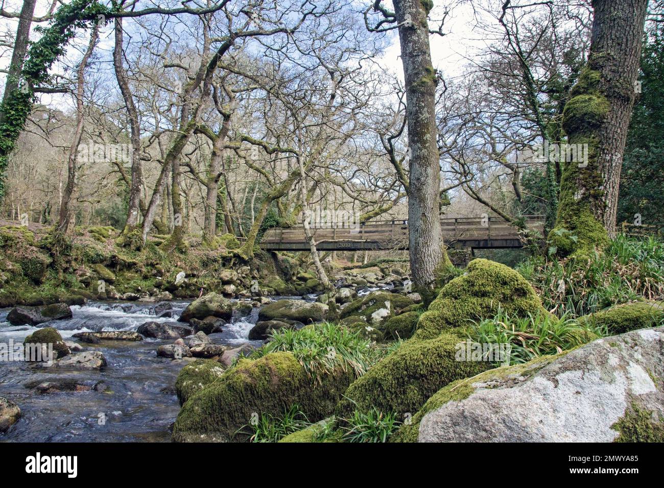The footbridge over the River Plym at at Shaugh Woods on the edges of ...