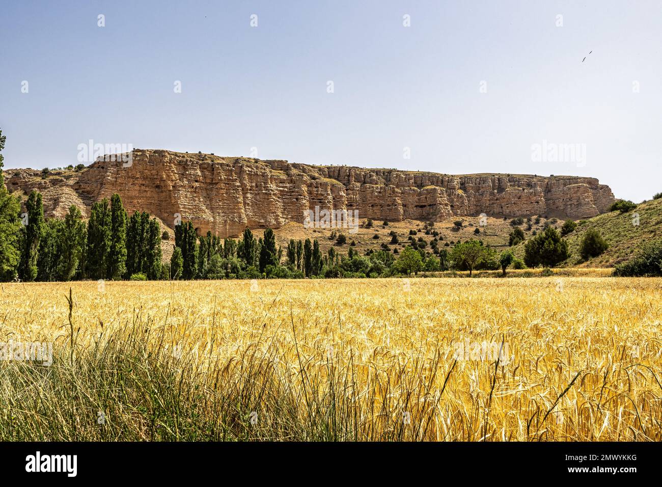 Hiking at Hoces gorges del Rio Riaza Natural Reserve near Segovia in ...