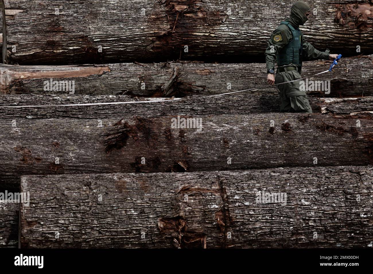 Combat deforestation hi-res stock photography and images - Alamy