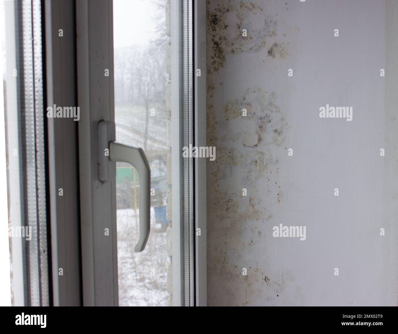 The slope near the window is covered with moisture stains, fungus ...