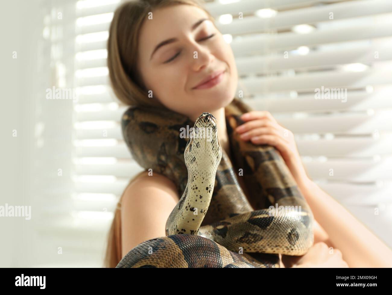 Young woman with boa constrictor at home. Exotic pet Stock Photo - Alamy