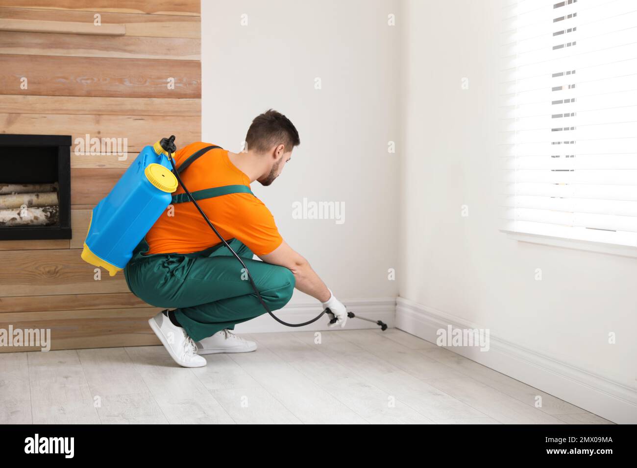 Pest control worker spraying insecticide on baseboard at home. Space ...