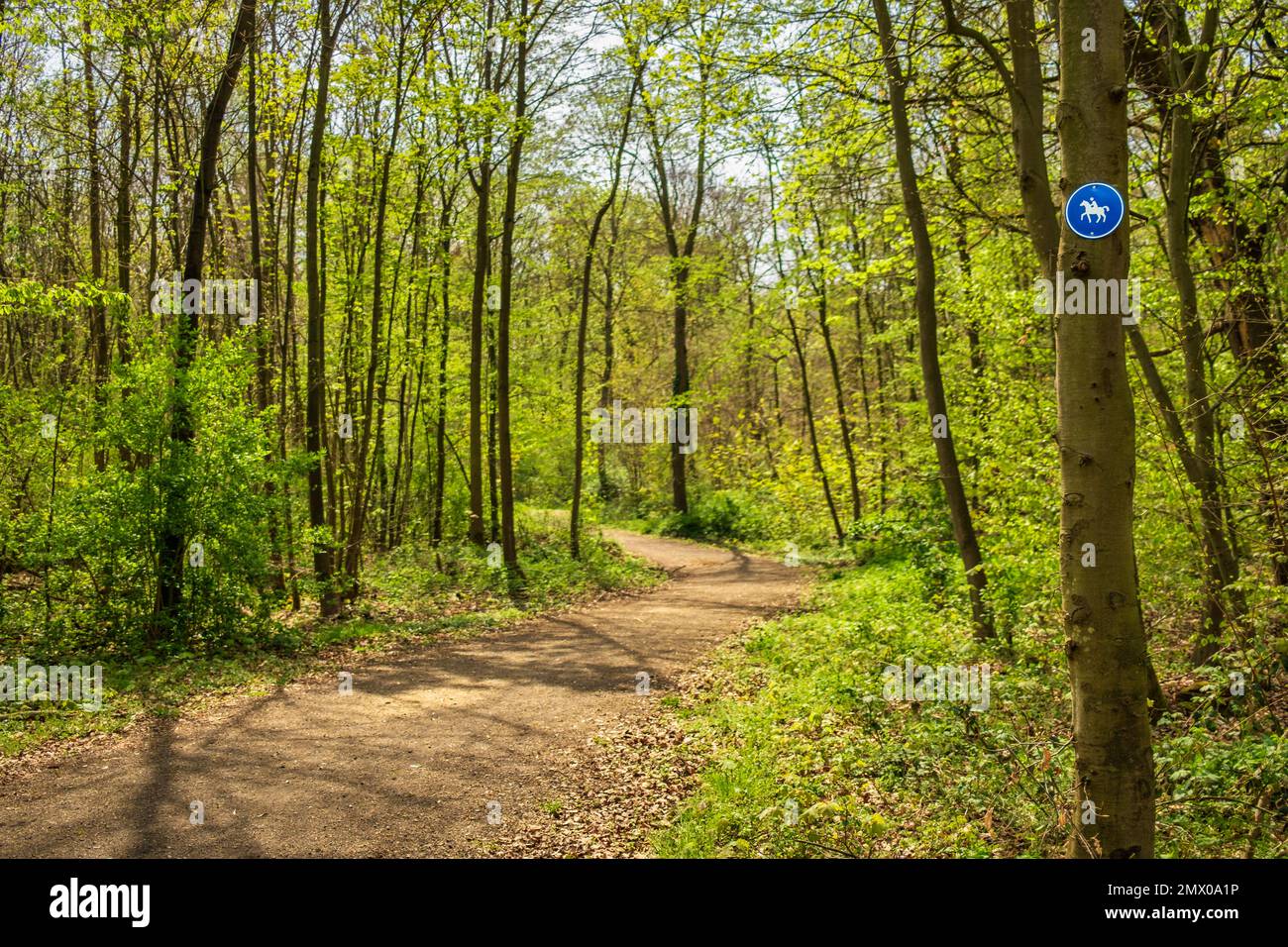 Sign for horse riding trail in spring forest. Traffic sign with ...