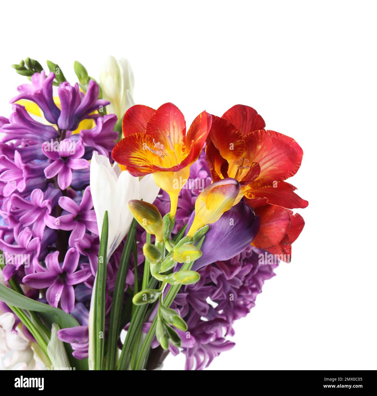 Bouquet of beautiful spring flowers on white background Stock Photo - Alamy