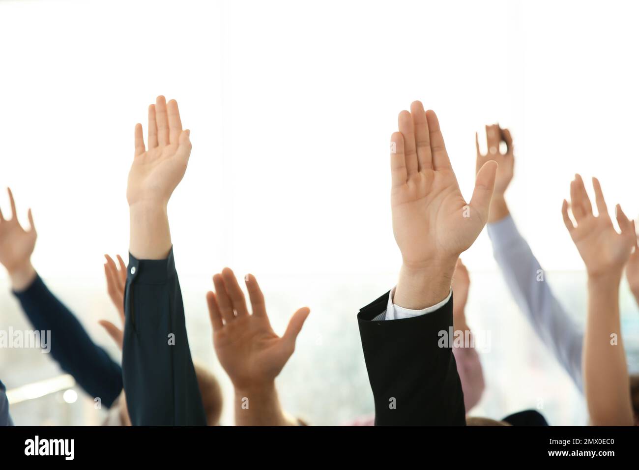 People raising hands to ask questions at business training on light ...
