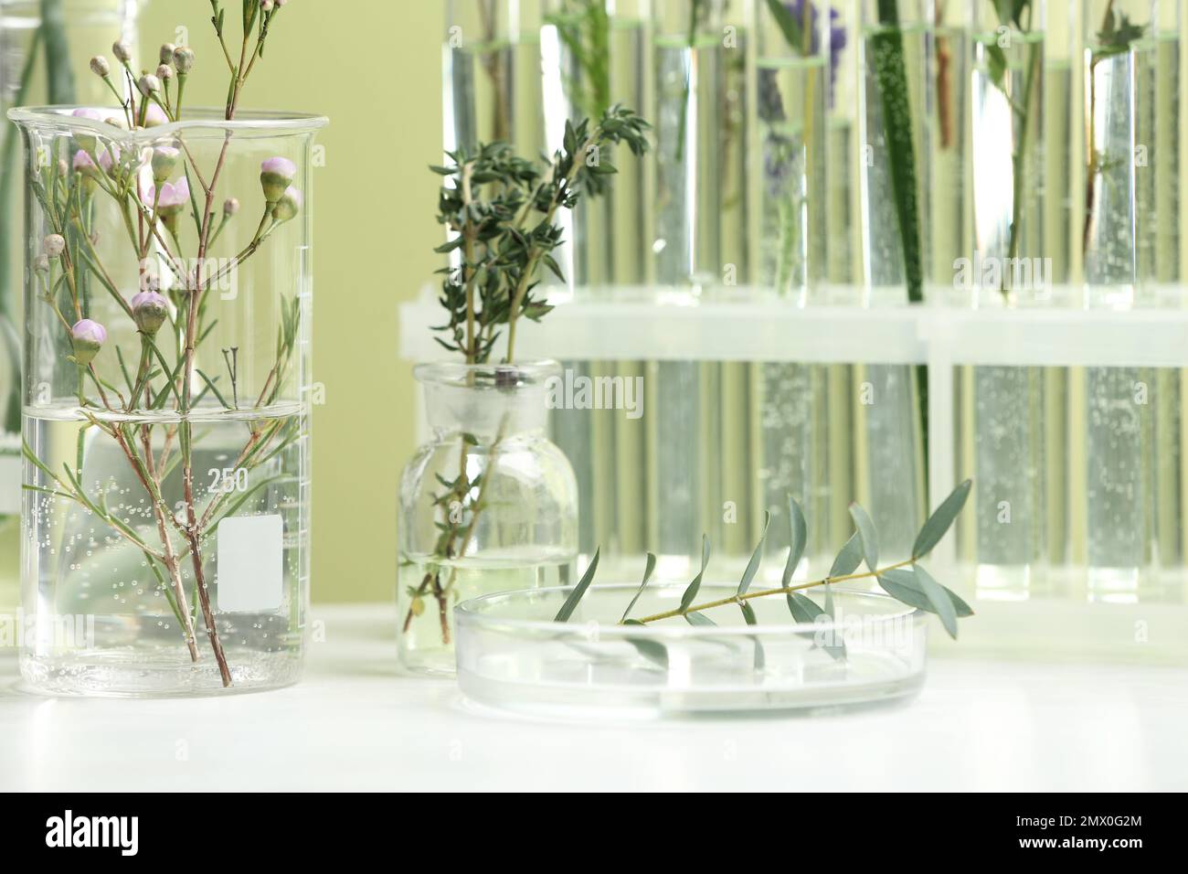 Bio products laboratory hi-res stock photography and images - Alamy