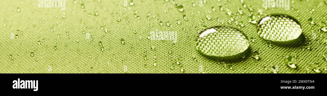 Closeup clean green background with small round transparent water drops ...