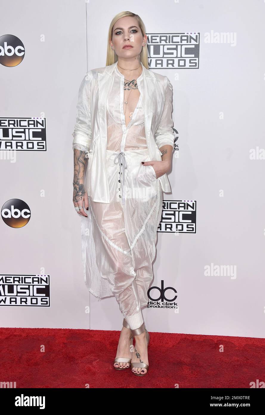 Skylar Grey arrives at the American Music Awards at the Microsoft ...