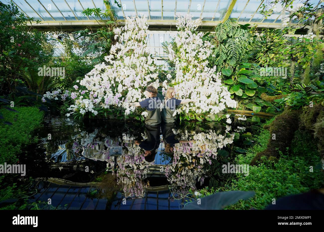 Kew horticulturists Charlie Hunt (left) and Anja Seymour (right ...