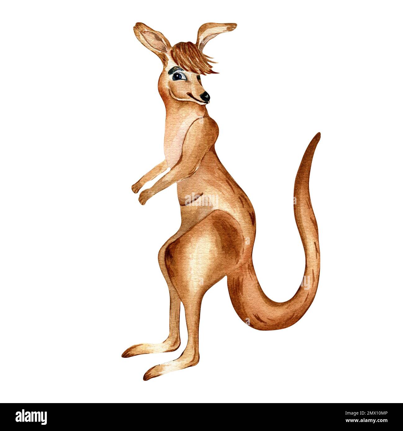 Cartoon Kangaroo Watercolor Illustration Isolated On White Background