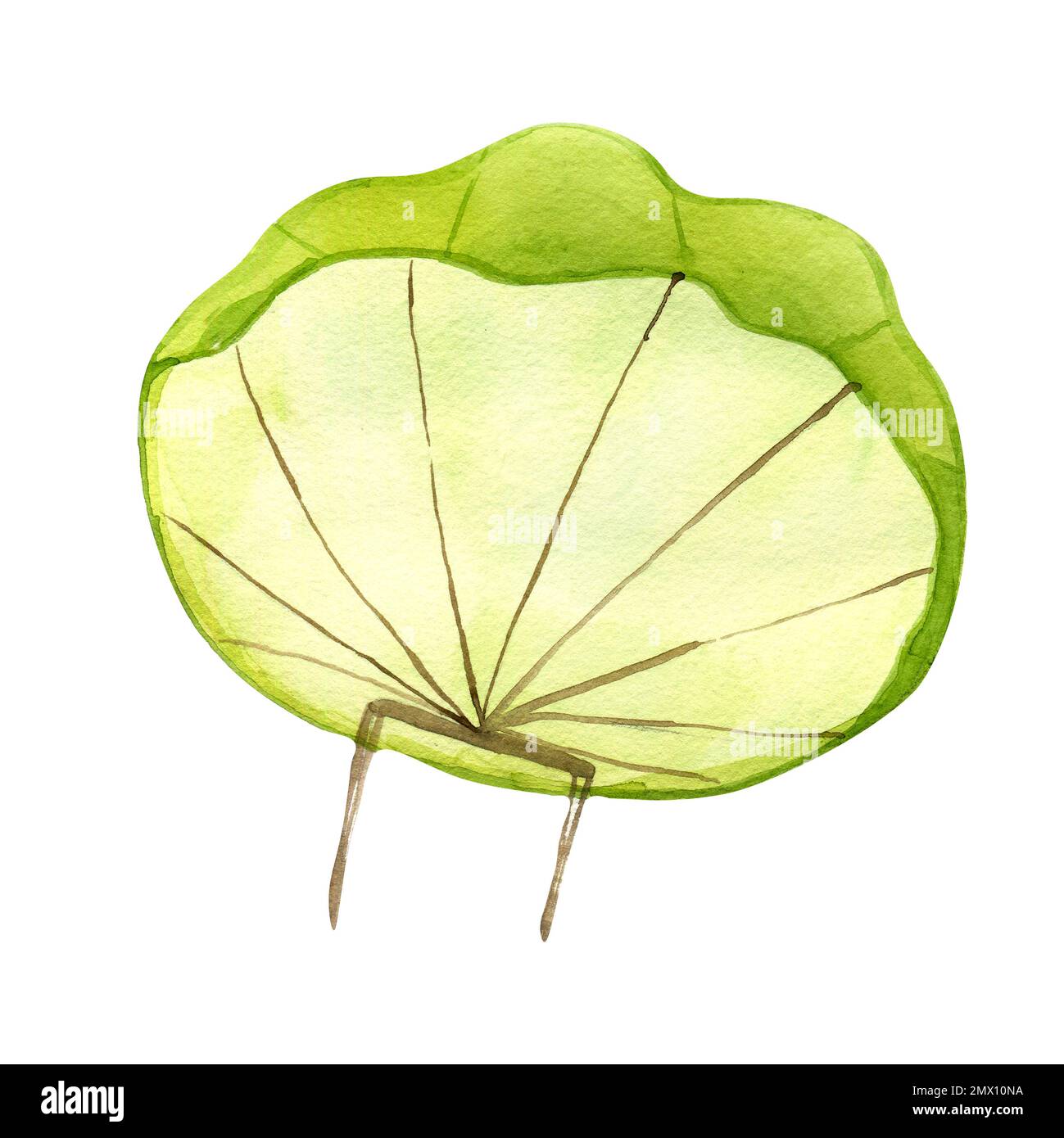 Cartoon green parachute watercolor illustration isolated on white ...