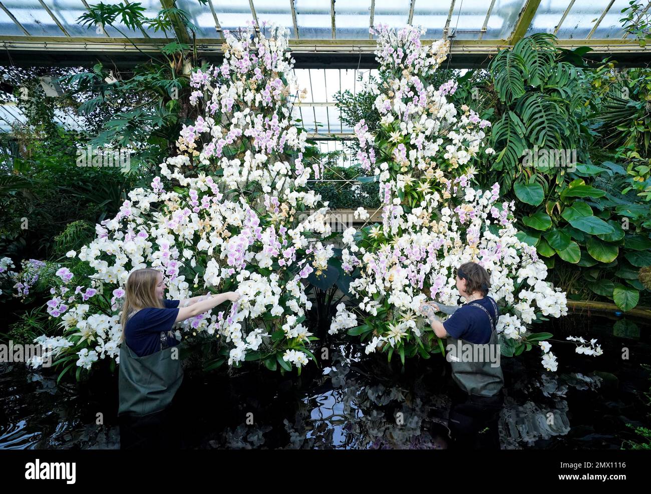 Kew horticulturists Charlie Hunt (right) and Anja Seymour (left ...