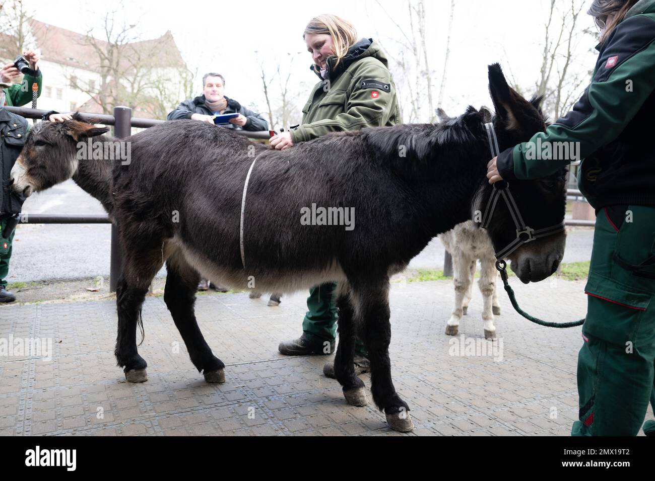 Hoyerswerda, Germany. 02nd Feb, 2023. Nadine Schubert (M), animal ...