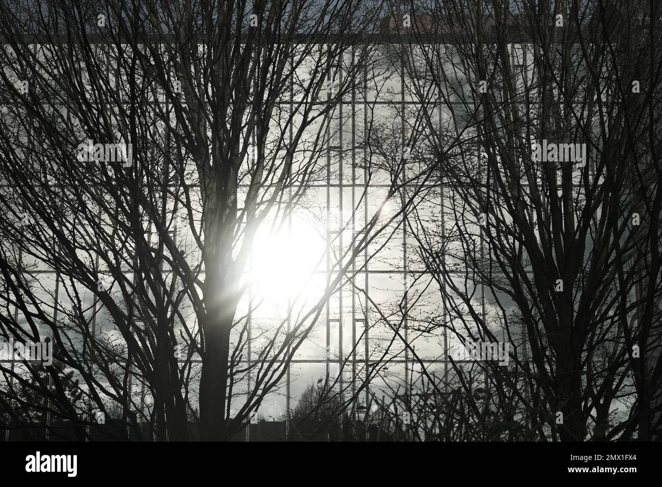 Glass Office Block Stock Photo - Alamy