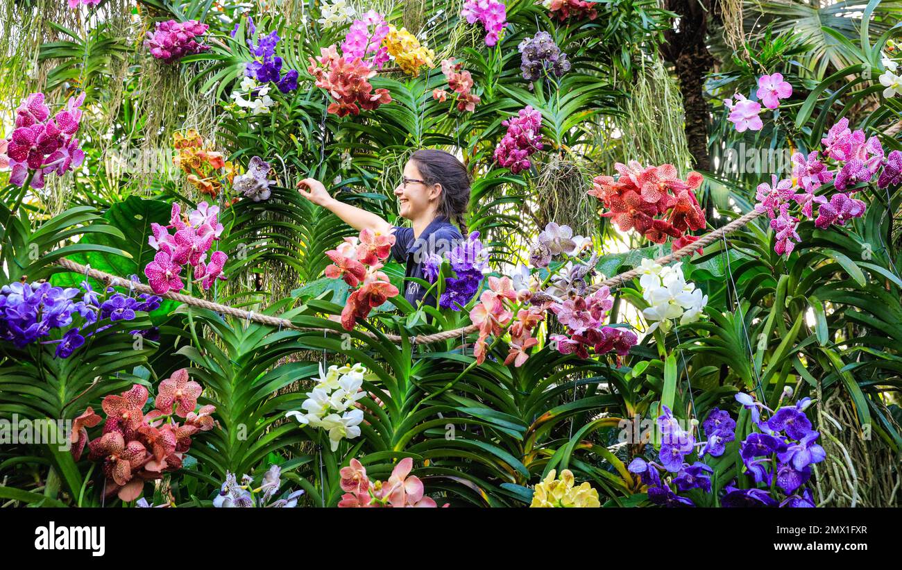 Kew gardens cameroon orchids hi-res stock photography and images - Alamy