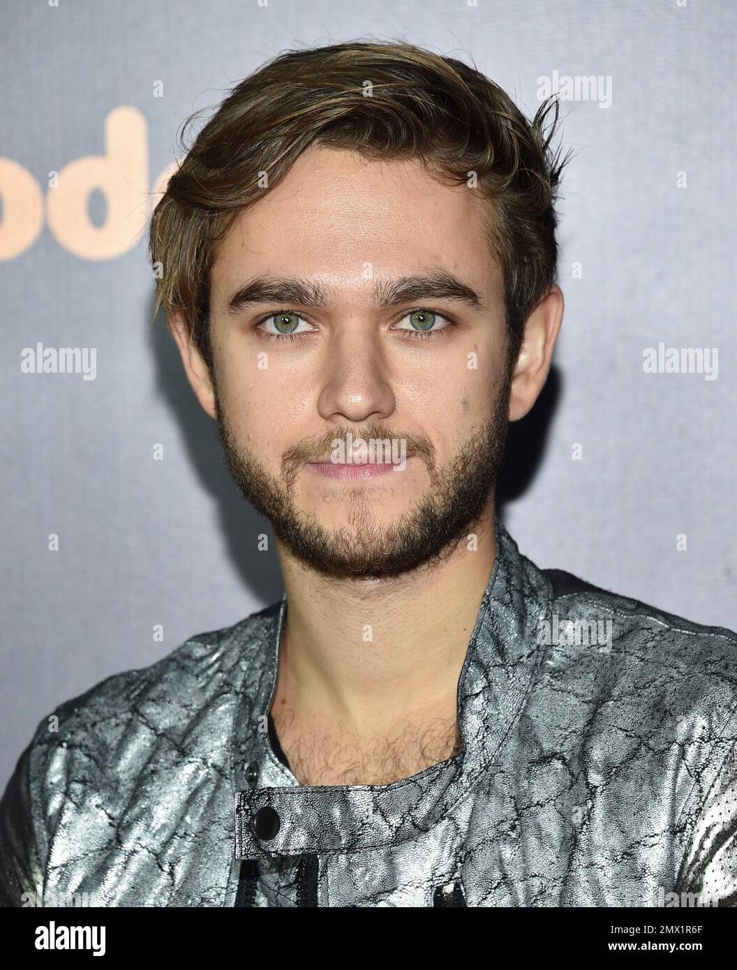 DJ Zedd attends the 2016 Nickelodeon HALO Awards at Pier 36 on Friday ...