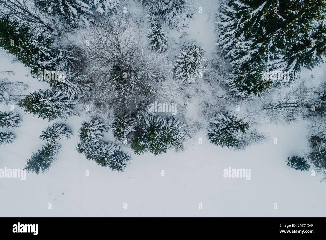 Air flight over snow pine hi-res stock photography and images - Alamy
