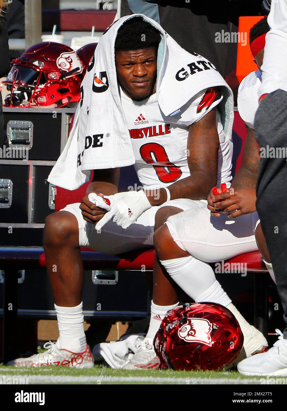 Louisville quarterback Lamar Jackson sits on the bench during the ...