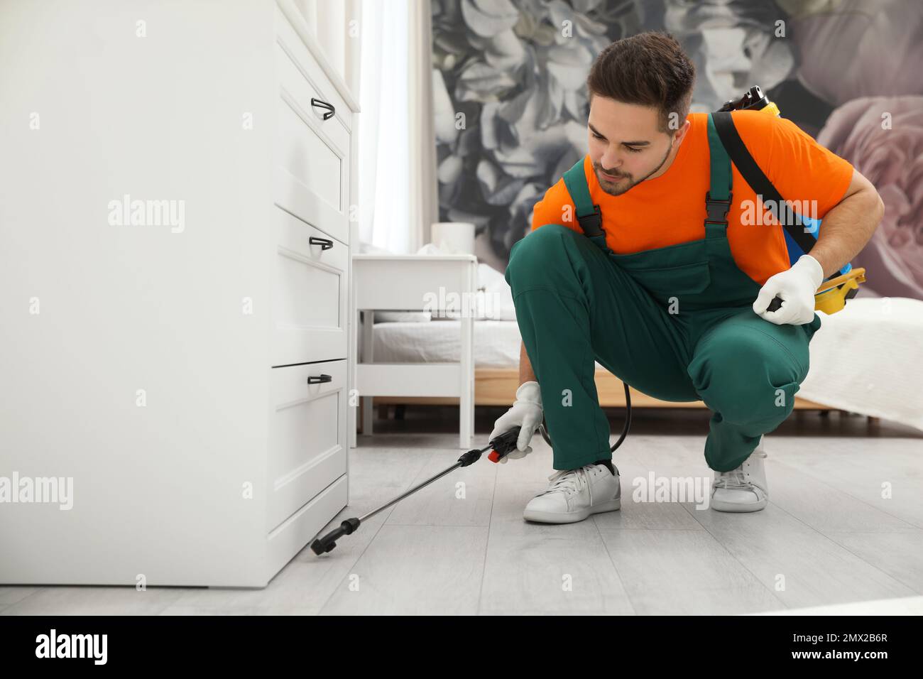 Pest control worker spraying insecticide near chest of drawers indoors ...