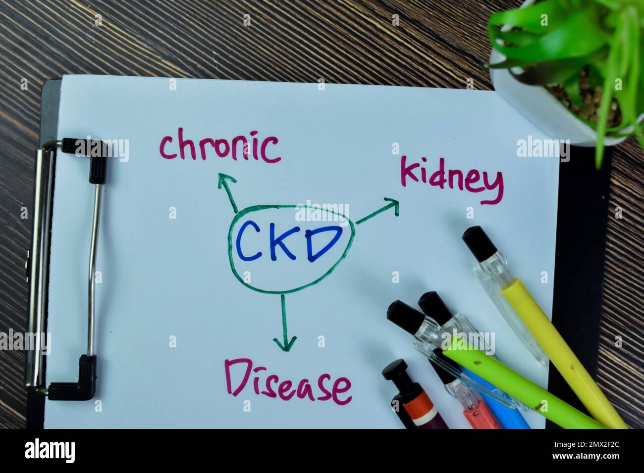 Concept of CKD - Chronic Kidney Disease write on paperwork isolated on ...