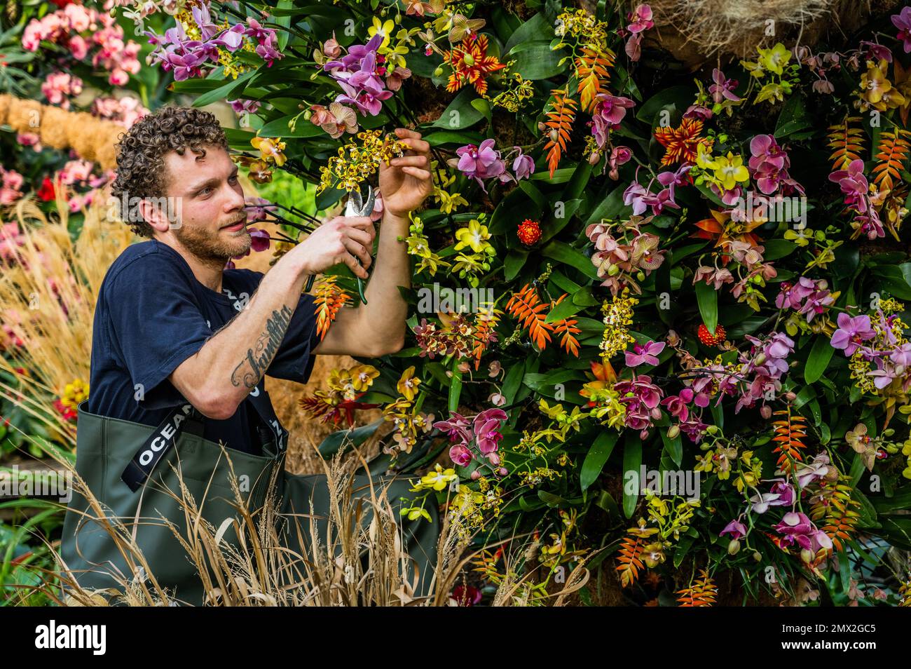 London, UK. 2nd Feb, 2023. Michael Antonetti, a Kew Horticulturalist ...