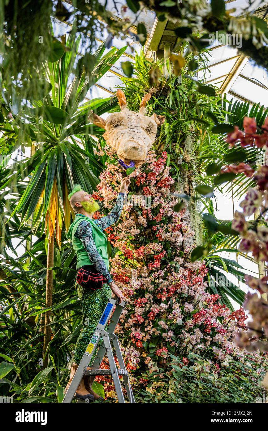 London, UK. 2nd Feb, 2023. Henck Rolling, the in-house florist, tends ...