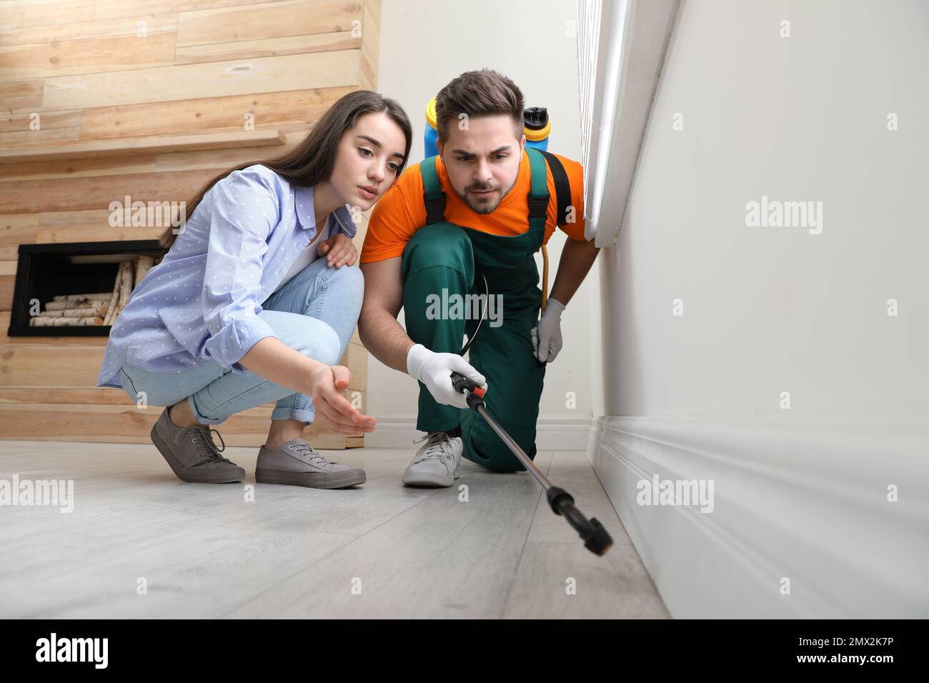 Woman showing insect traces to pest control worker at home Stock Photo ...
