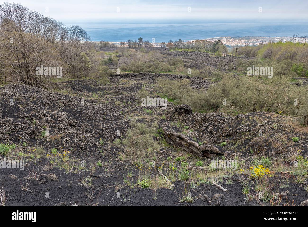 Mount Etna, Sicily - the remains of the lava flow from the eruption of ...