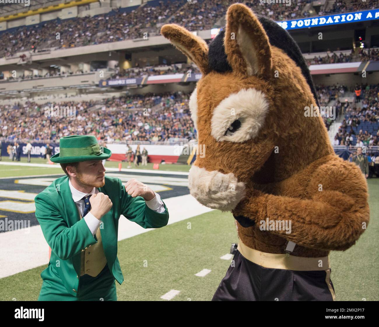 The Notre Dame leprechaun and the Army mule mascots play box on t he ...