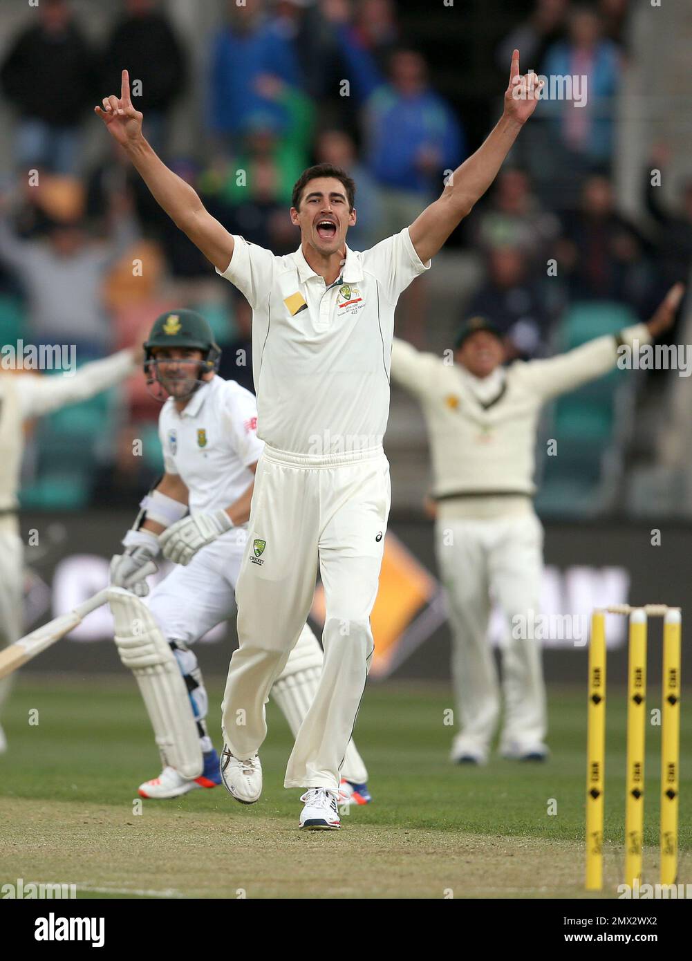Australia's Mitchell Starc, center, appeals to the umpire for a lbw ...