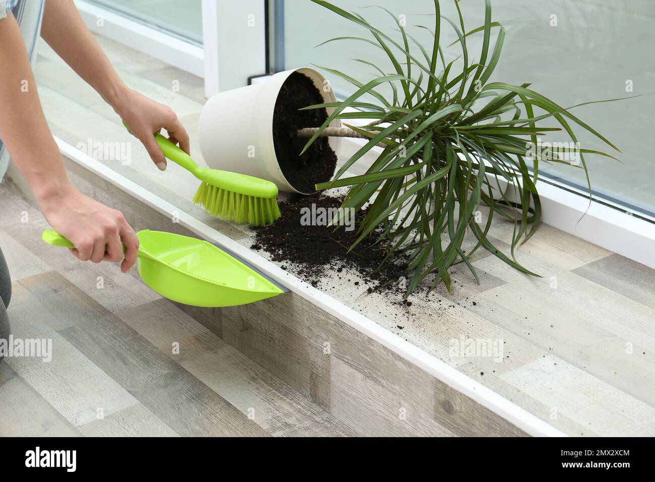 Cleaning from soil hi-res stock photography and images - Alamy