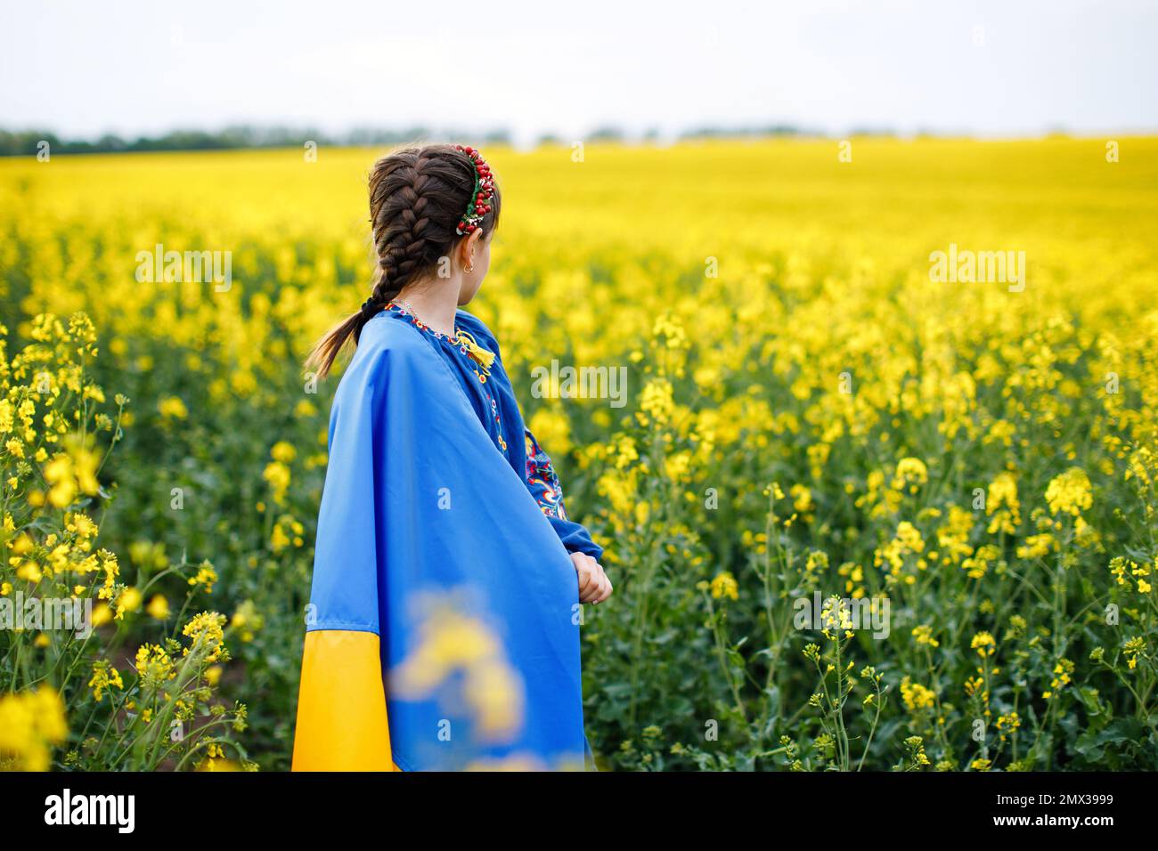 Pray for Ukraine. Child with Ukrainian flag in rapeseed field. Girl ...