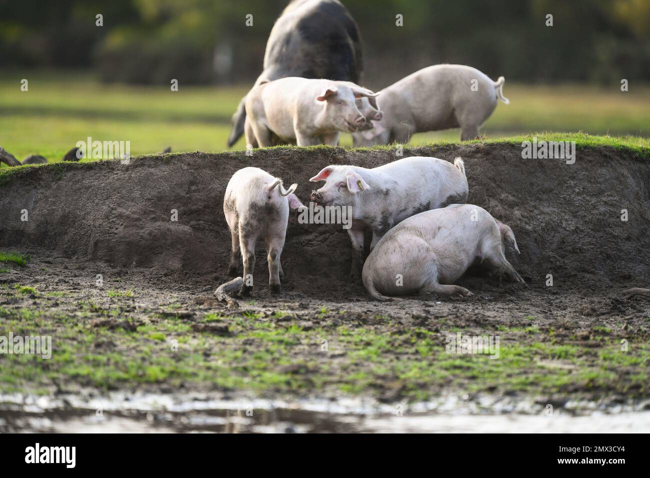 New hampshire food bank hi-res stock photography and images - Alamy