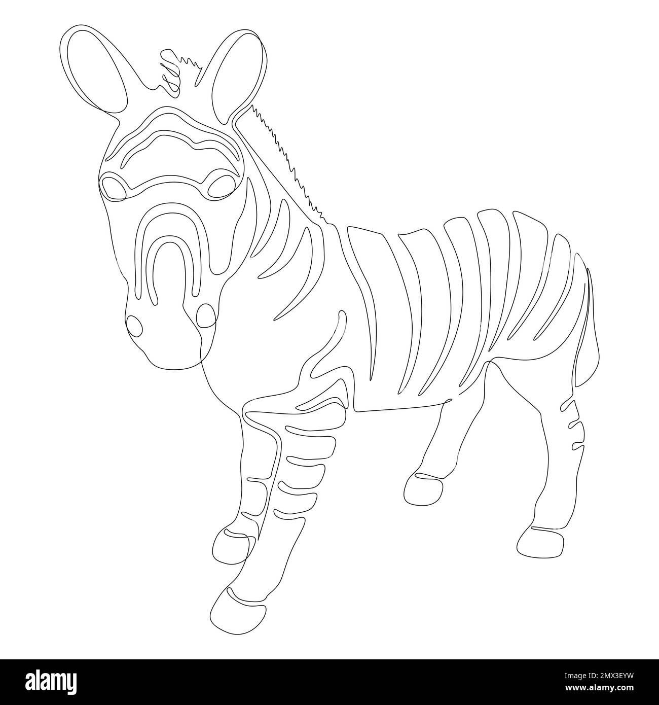 Easy Zebra Drawing