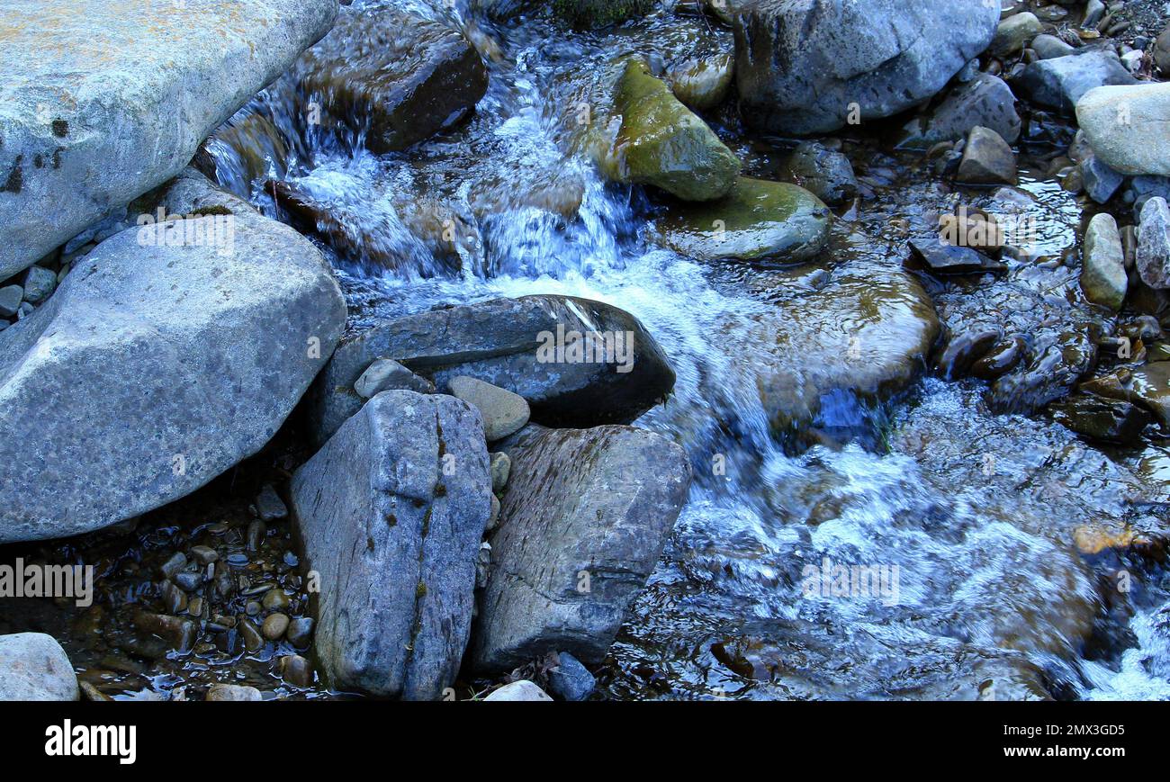 A stream of water flows in a stream, bending around boulders and stones ...
