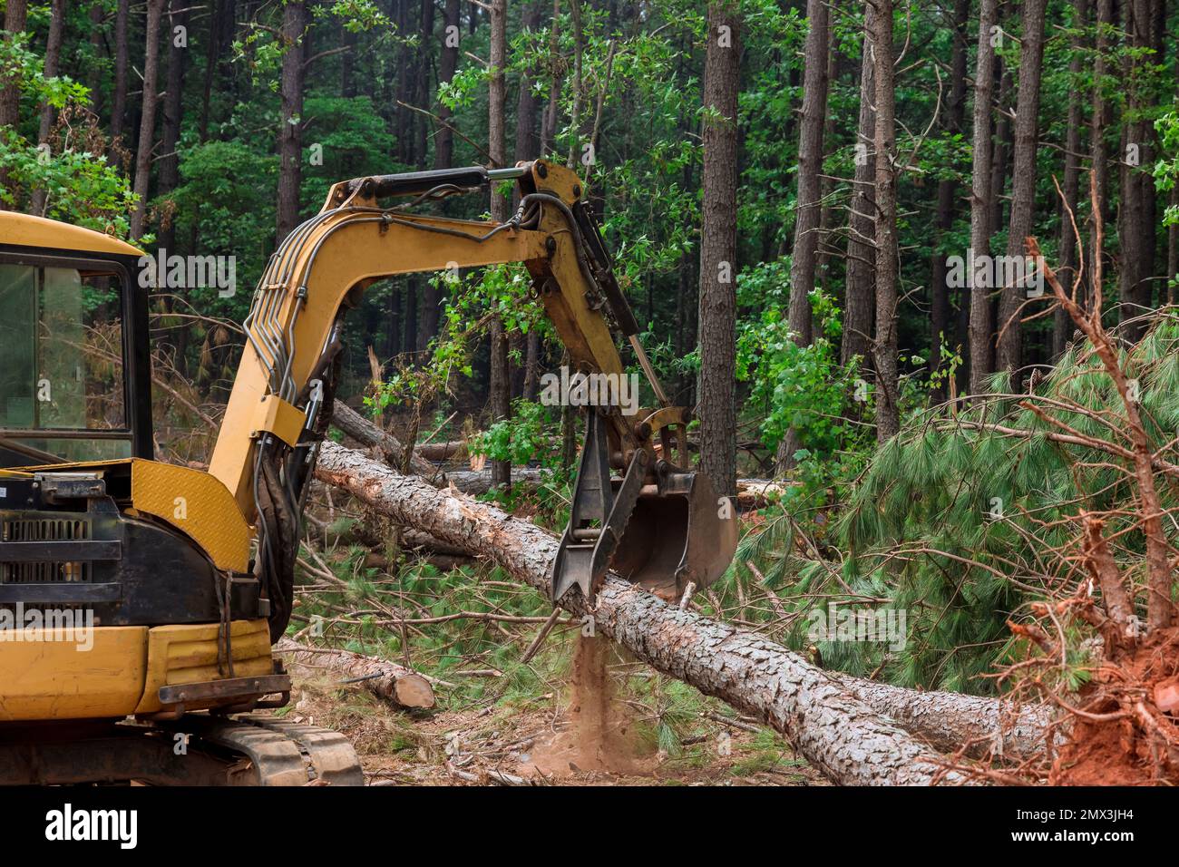 As part deforestation work machinery is used to remove trees lift logs ...