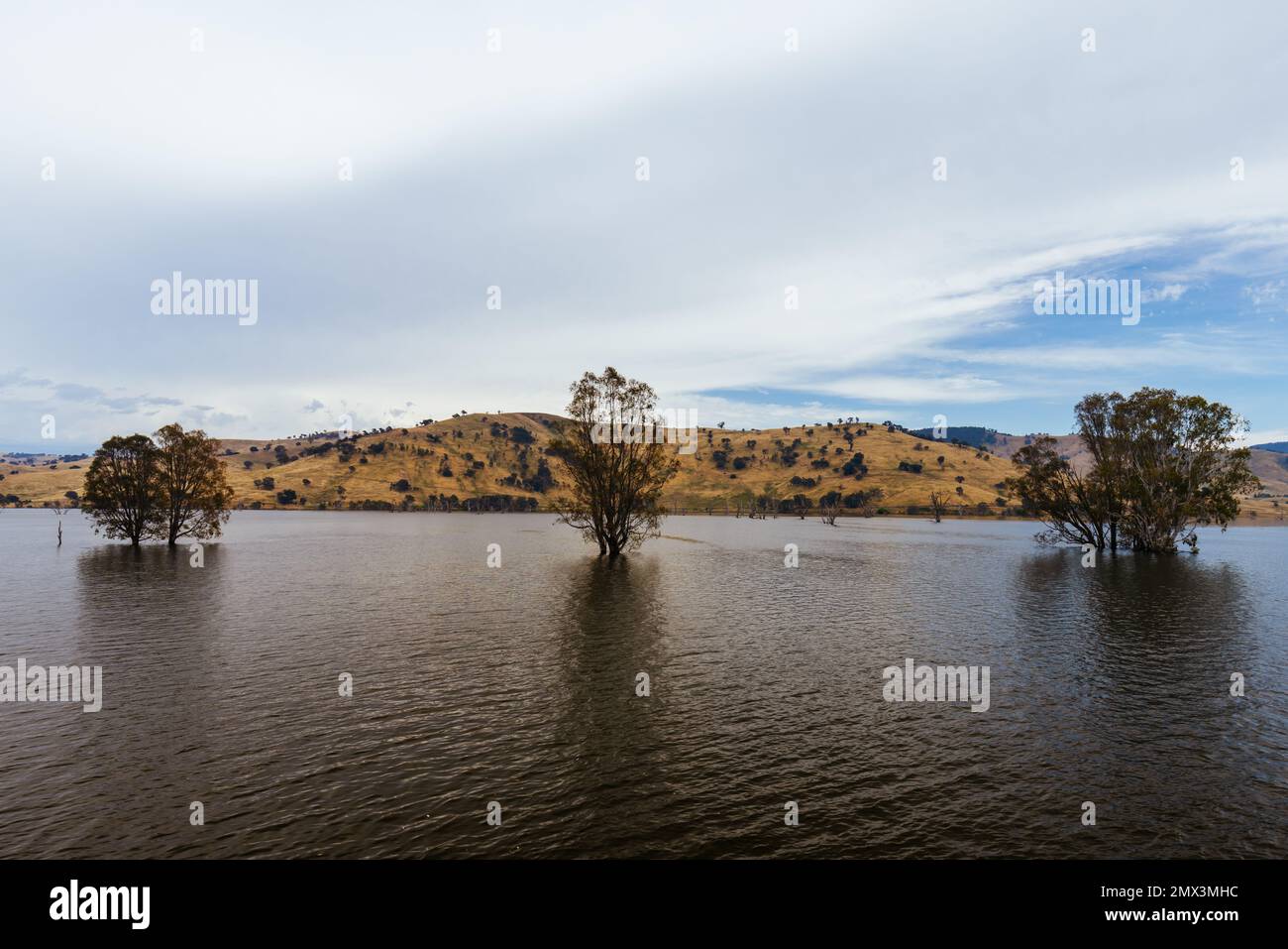 Mitta valley lookout hi-res stock photography and images - Alamy Mitta valley lookout hi-res stock photography and images - Alamy