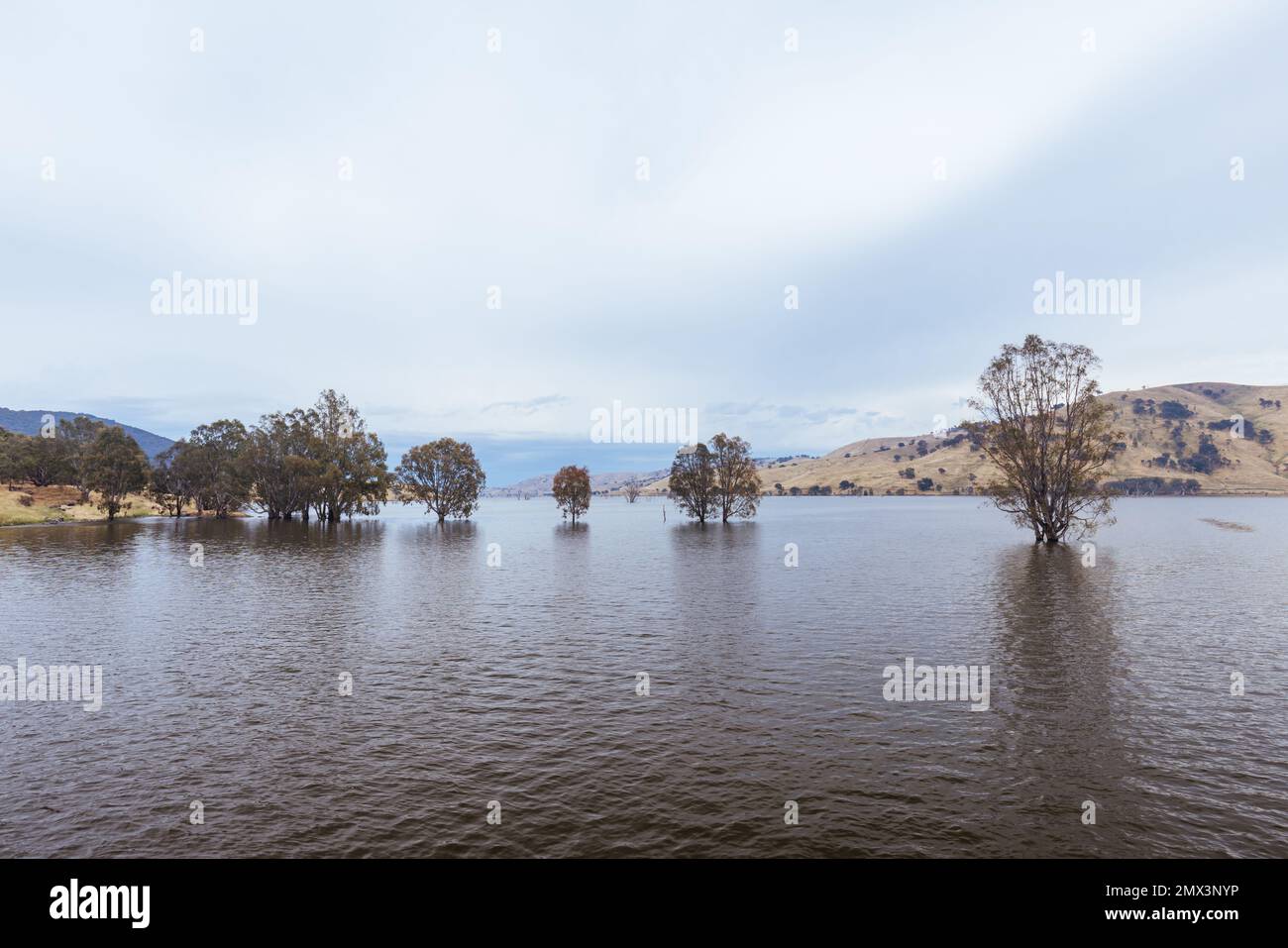 Mitta Valley Lookout in Australia Stock Photo - Alamy