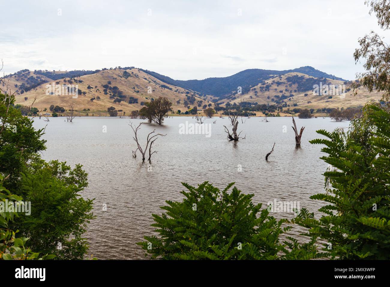 Mitta australia hi-res stock photography and images - Alamy