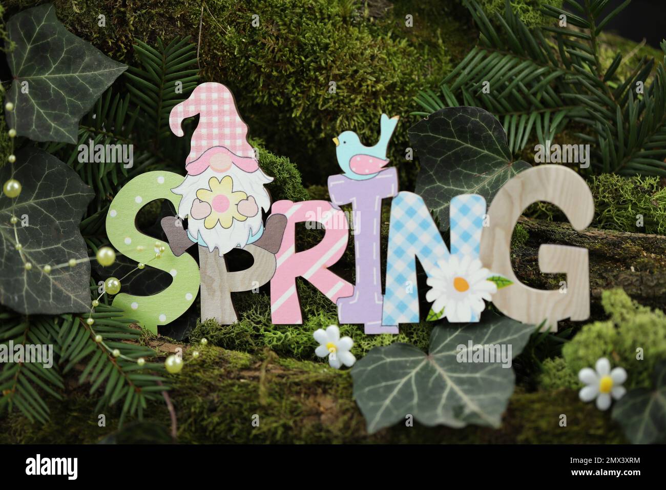 Green background with plants and Spring text Stock Photo - Alamy