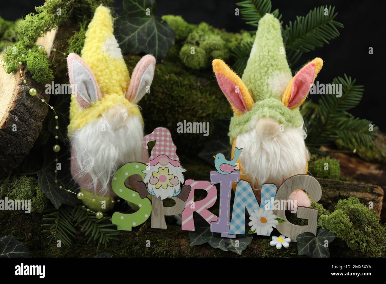 Green background with plants and Spring text Stock Photo - Alamy