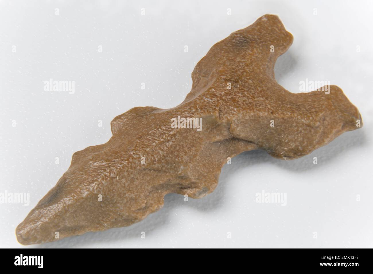 Macro image of an original arrowhead from the Paleolithic Age. High ...