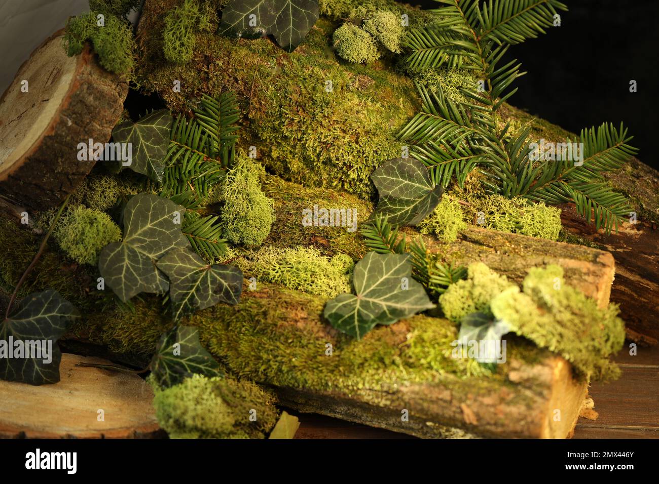 abstract green background with ivy, moss and wood Stock Photo - Alamy