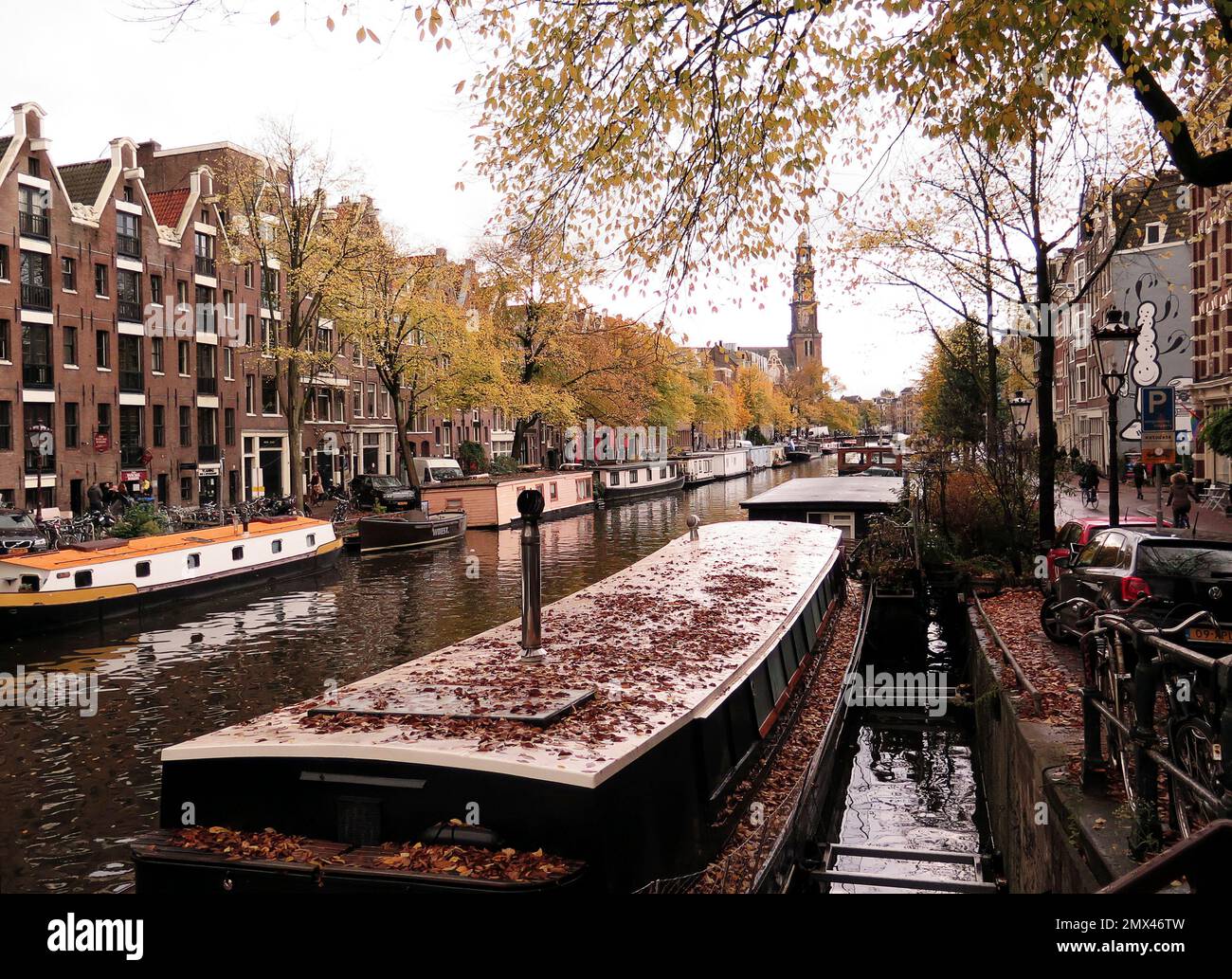 Fallen leaves lay at the roof of a houseboat at Prinsengracht canal in ...
