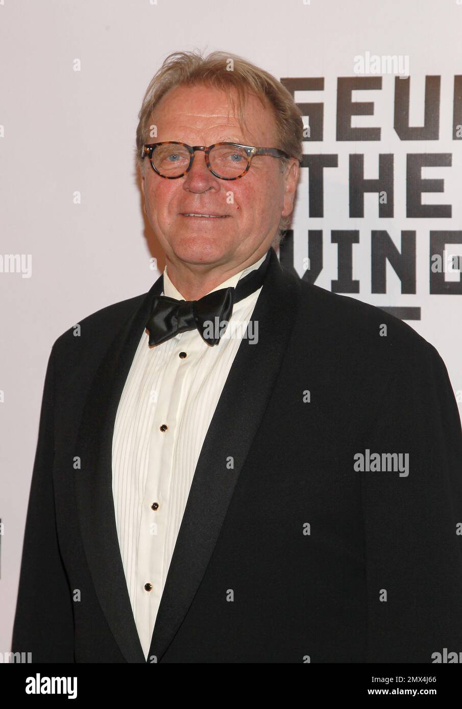 Actor David Rasche attends the Museum of the Moving Image Salute to ...